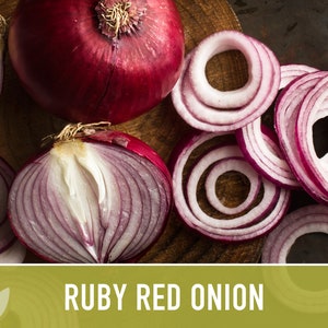 Ruby Red Onion Heirloom Seeds - Etsy