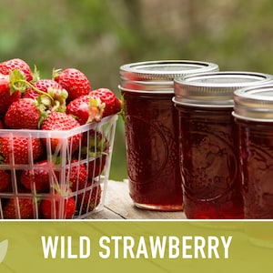 Wild Strawberry Seeds - Heirloom Seeds, Alpine Strawberry, Woodland ...