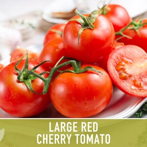 Large Red Cherry Tomato Heirloom Seeds Fresh Salad - Etsy