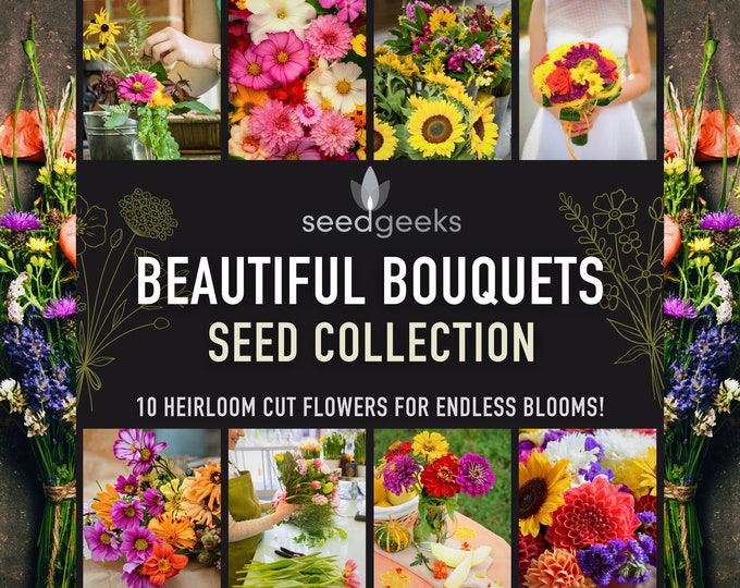 Cut Flower Seed Collection, 10 Seed Varieties for Cut Flowers, Great ...