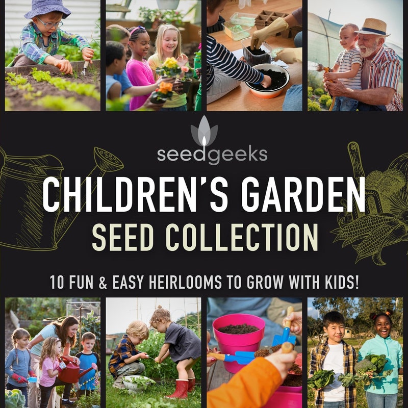 Heirloom Seeds - Etsy