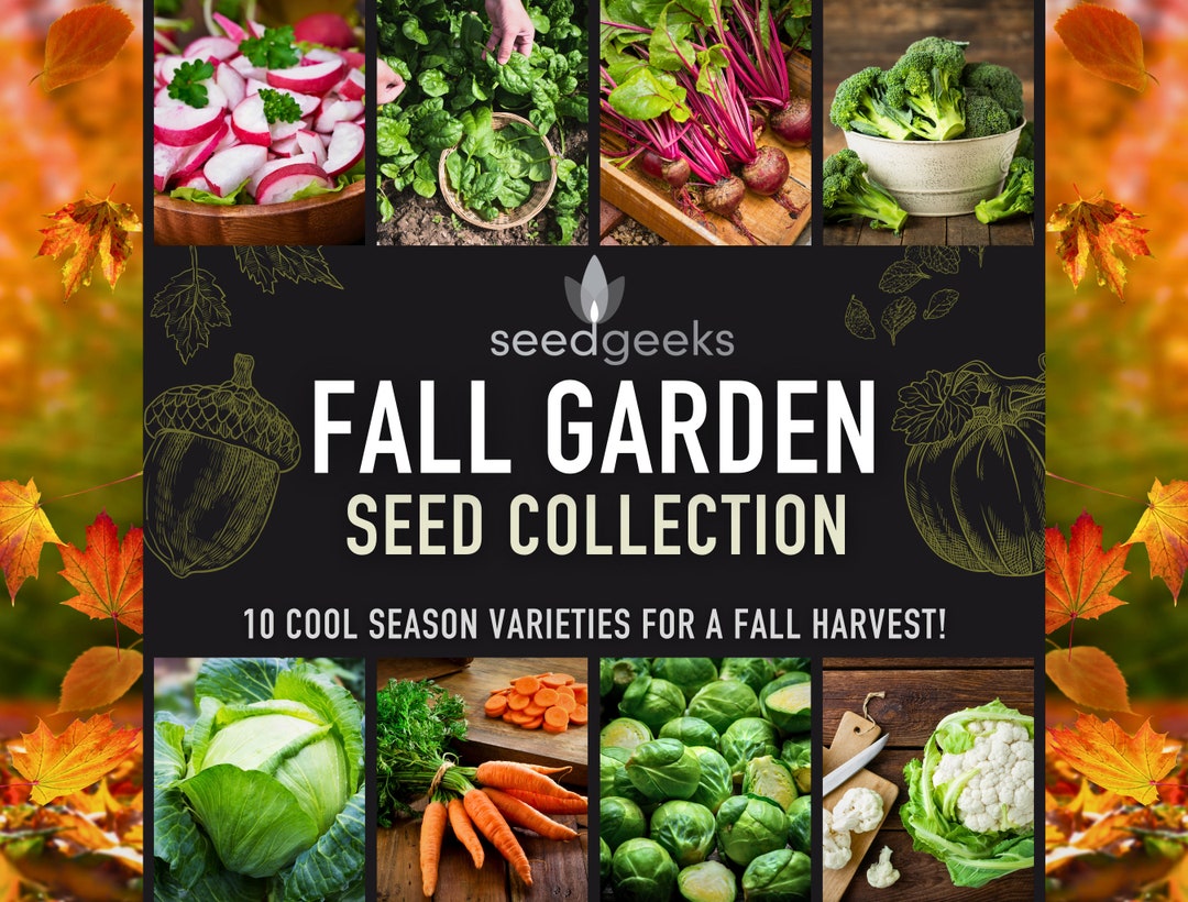 Fall Garden Seed Collection - 10 Hand-selected Heirloom Seed Packets ...