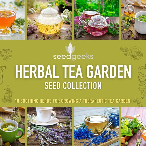 Herbal Tea Garden Seed Collection 10 Soothing Herbs for - Etsy
