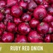 Ruby Red Onion Heirloom Seeds - Etsy