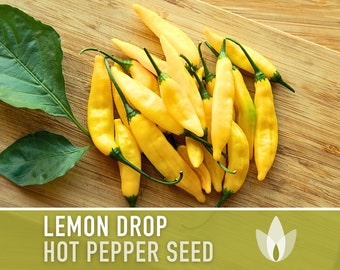 Lemon Drop Pepper Seeds - Etsy