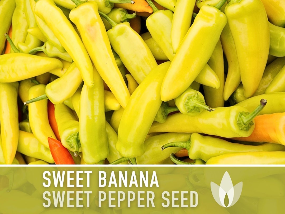 Sweet Banana Pepper