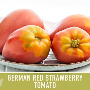 German Red Strawberry Tomato Seeds - Heirloom, Oxheart Tomato, German ...