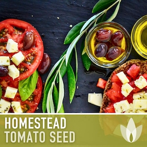 Homestead Improved Tomato Seeds – Heirloom, Heat Tolerant, Non-gmo - Etsy