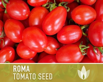 Roma Tomato Seeds | Heirloom - Etsy