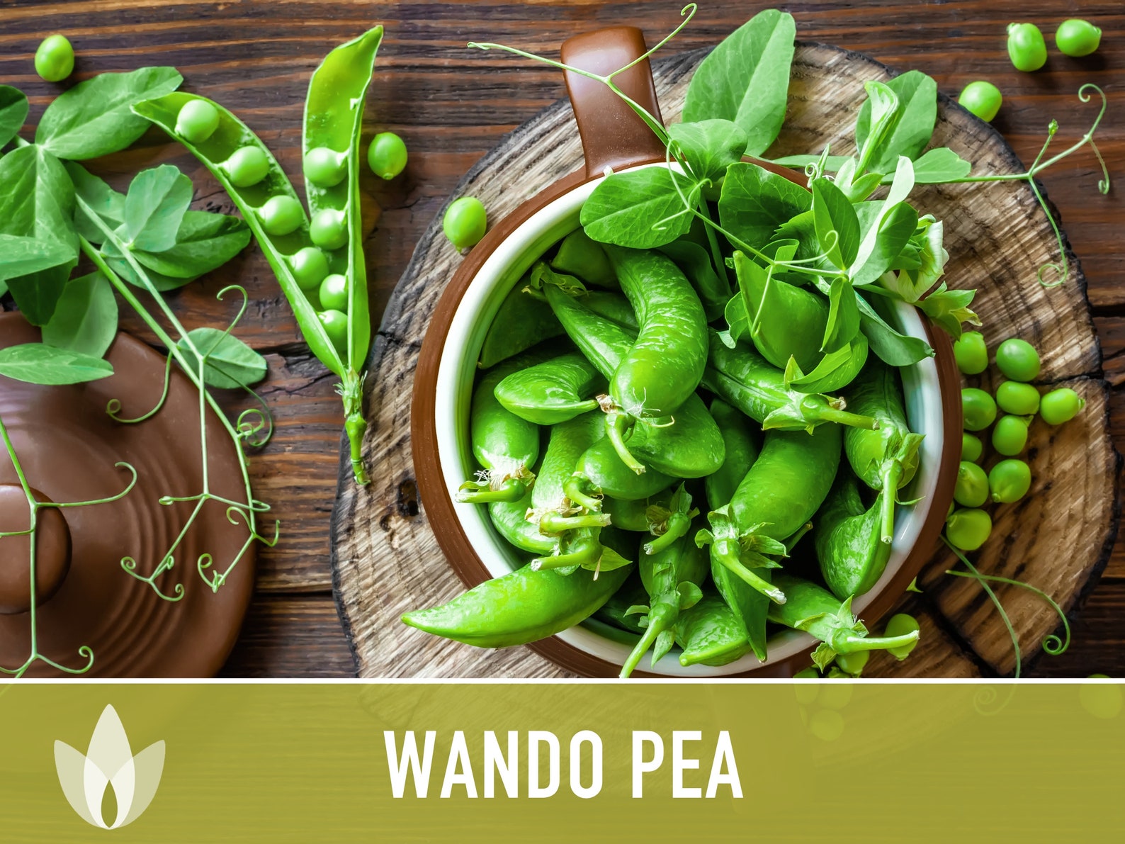Wando Garden Pea Heirloom Seeds - Etsy
