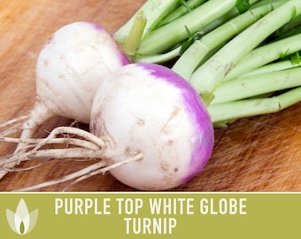 Turnip Purple Top White Turnip Seeds Heirloom Seed Packet - Etsy