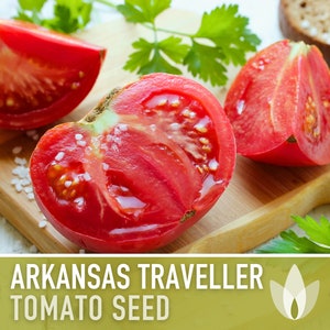 Arkansas Traveler Tomato - Heirloom Seeds, Indeterminate Tomato, Heat ...