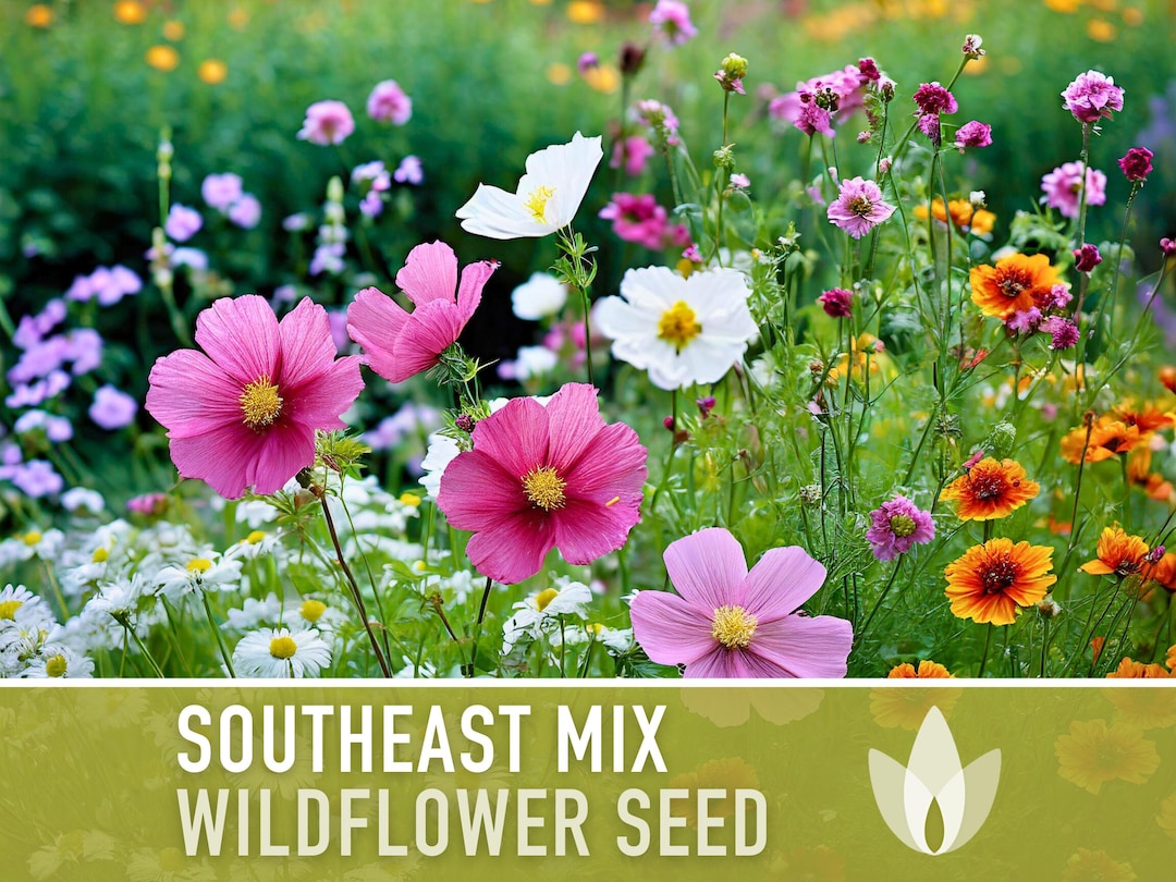 Southeast Wildflower Seed Mix - 100+ Heirloom Seeds, Southeast Native ...