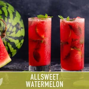 Allsweet Watermelon Heirloom Seeds - Non-gmo, Open Pollinated ...