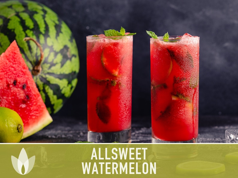 Allsweet Watermelon Heirloom Seeds Non-gmo Open Pollinated - Etsy