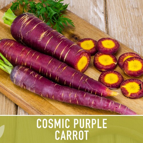 Cosmic Purple Carrot Heirloom Seeds - Etsy