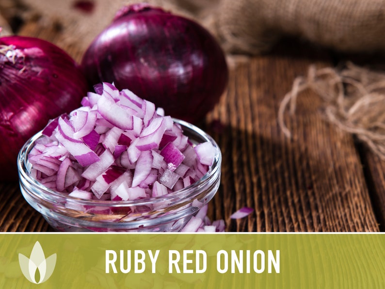 Ruby Red Onion Seeds - Heirloom Seeds, Root Vegetables, Fall Garden ...