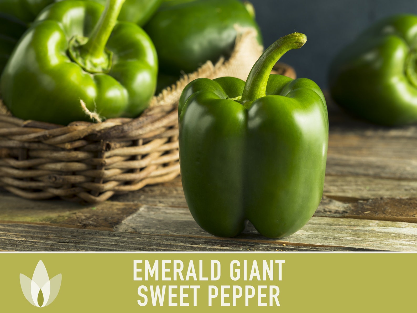 Emerald Giant Sweet Pepper Heirloom Seeds - Etsy