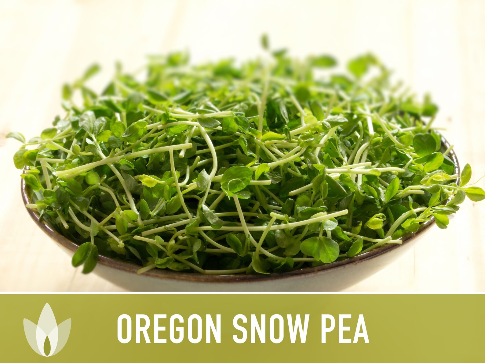 Oregon Sugar Pod Snow Pea Heirloom Seeds - Etsy