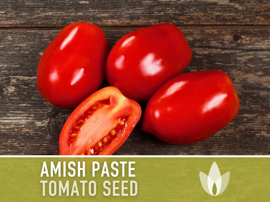 Amish Paste Tomato - 30 Seeds - Heirloom Tomato, Large Paste Tomato ...