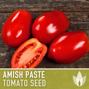 Amish Paste Tomato - 30 Seeds - Heirloom Tomato, Large Paste Tomato, Sauce Tomato, Plum Tomato ...