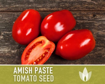 Roma Tomato Seeds | Heirloom - Etsy