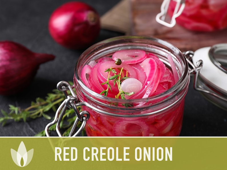 Red Creole Onion Heirloom Seeds Short Day Open Pollinated - Etsy