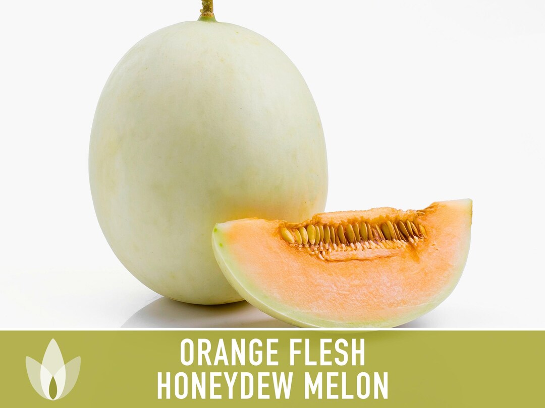 Honeydew Melon, Orange Flesh Seeds Heirloom Seeds, Sweet Orange Flesh ...