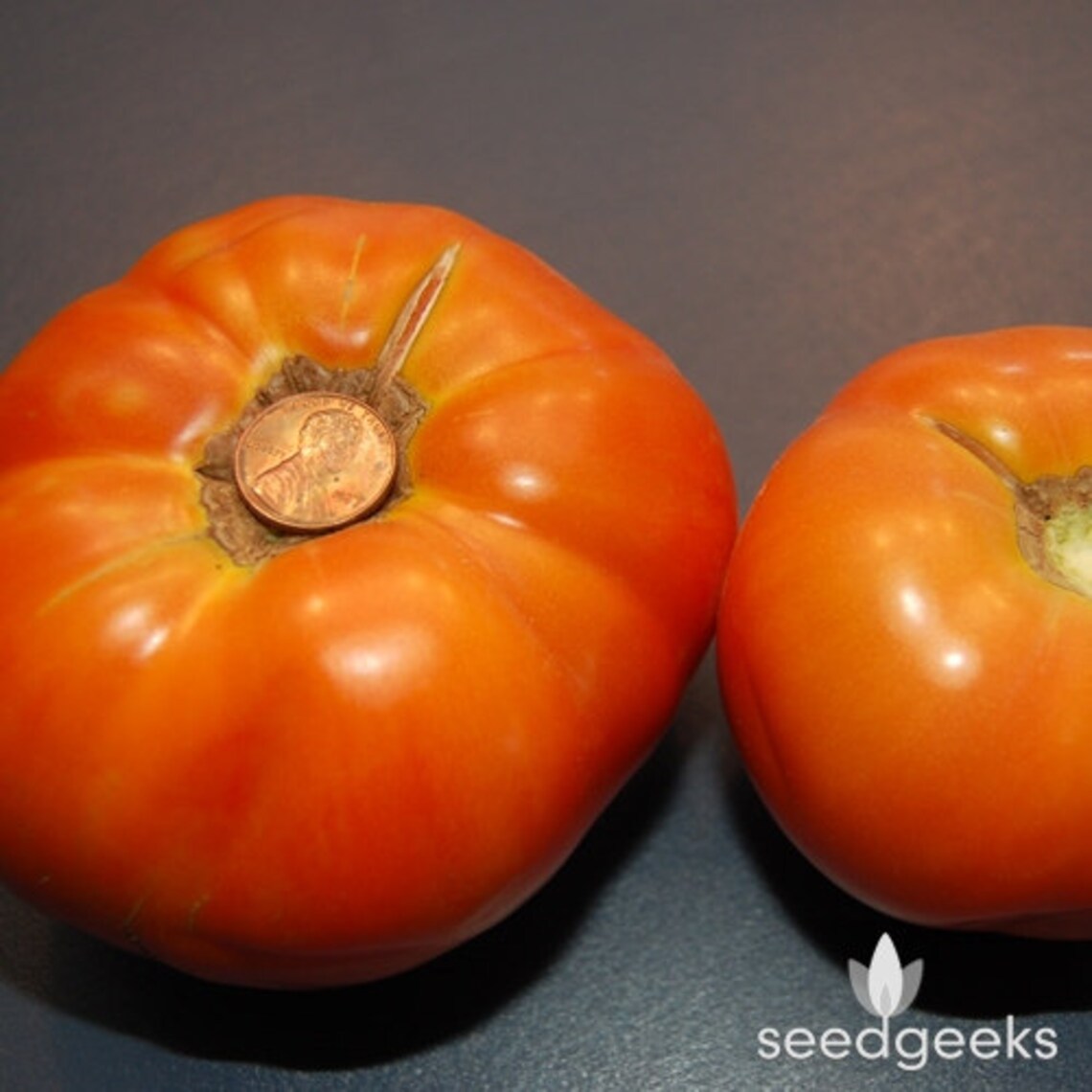 Marglobe Tomato Heirloom Seeds - Etsy Canada