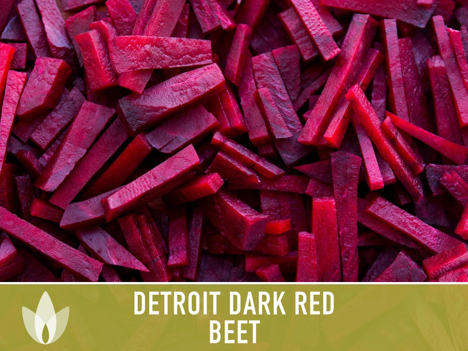 Detroit Dark Red Beet Seeds Heirloom Cold Hearty Open - Etsy