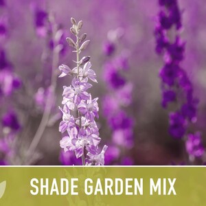 BULK - 1lb - Shade Garden Heirloom Seed Mix - Etsy