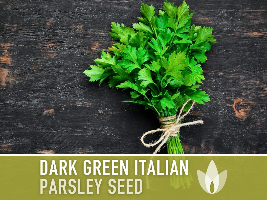Italian Parsley Vs Regular Parsley