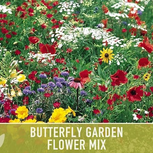 Butterfly Garden Flower Seeds Mix, Pollinator Wildflower Seeds - Etsy