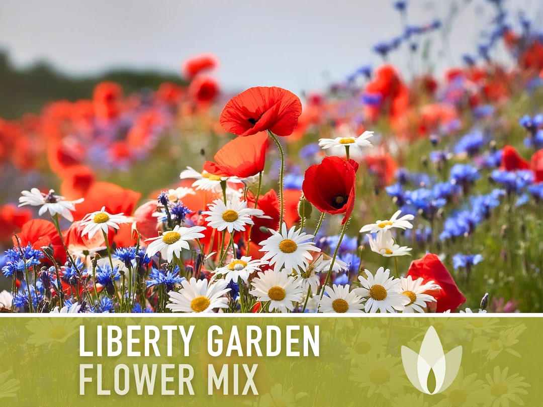 Liberty Garden Wildflower Seed Mix - Patriotic Seed Packets, Red, White ...