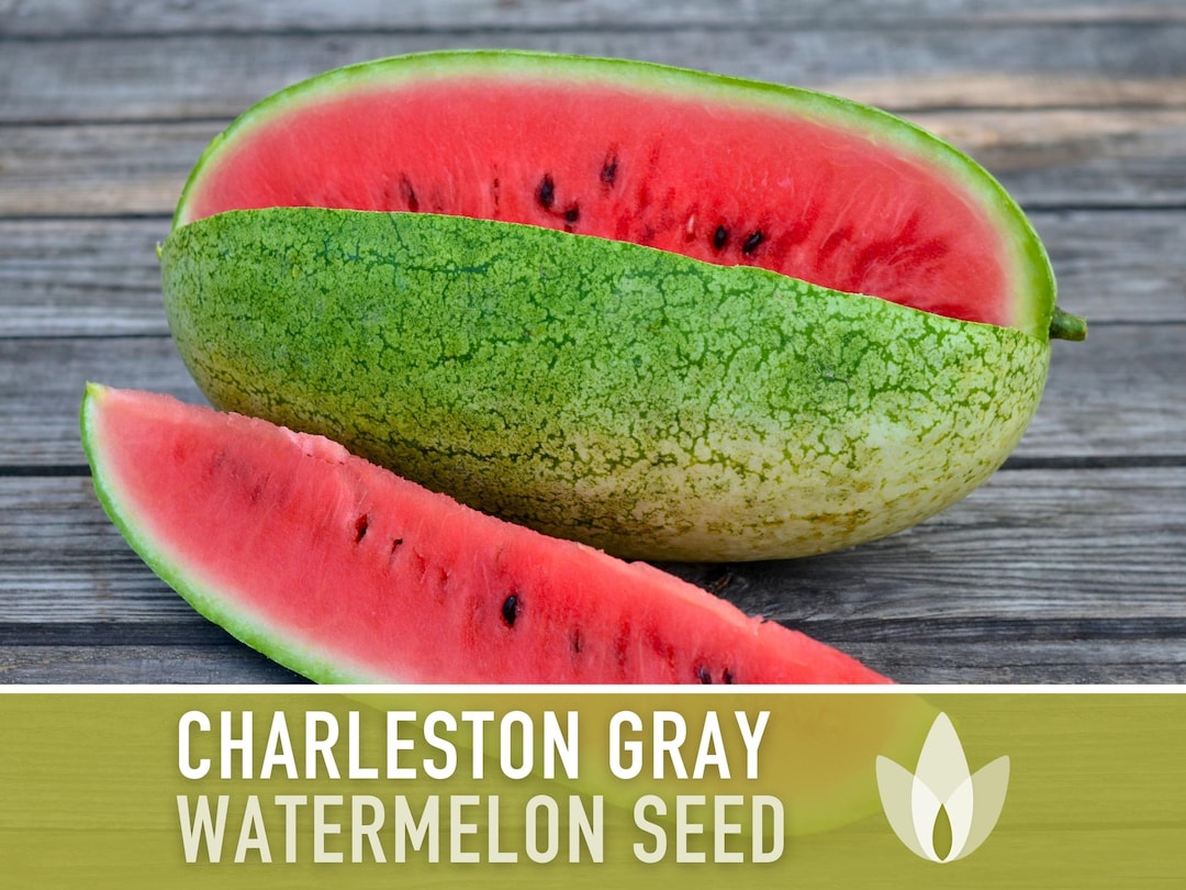 Charleston Gray Watermelon Seeds - Heirloom Seeds, 20-40lb Melon, Super ...