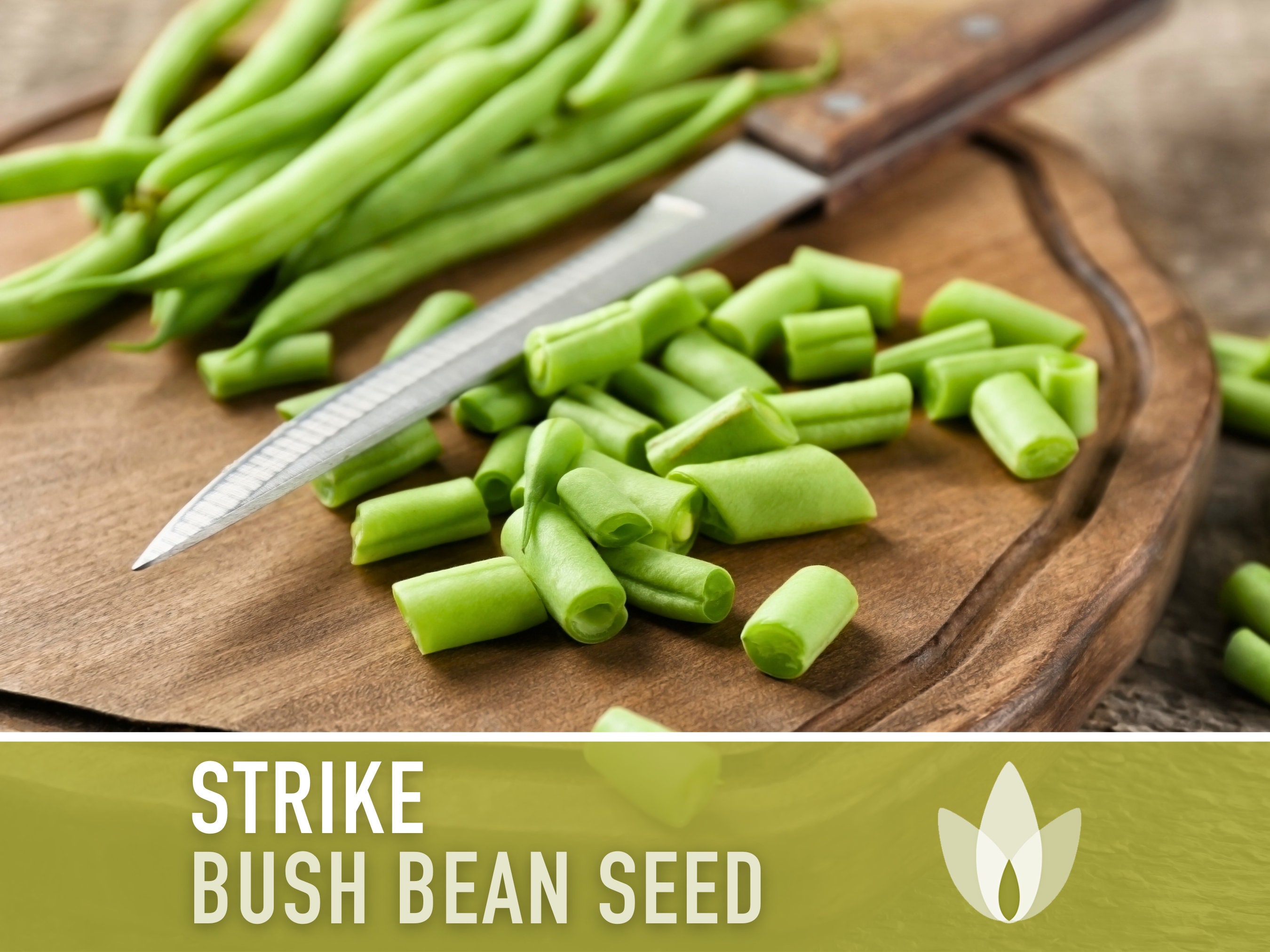 Strike Bush Bean Seeds - Heirloom, Stringless, Non-gmo (50 Seeds) - Etsy