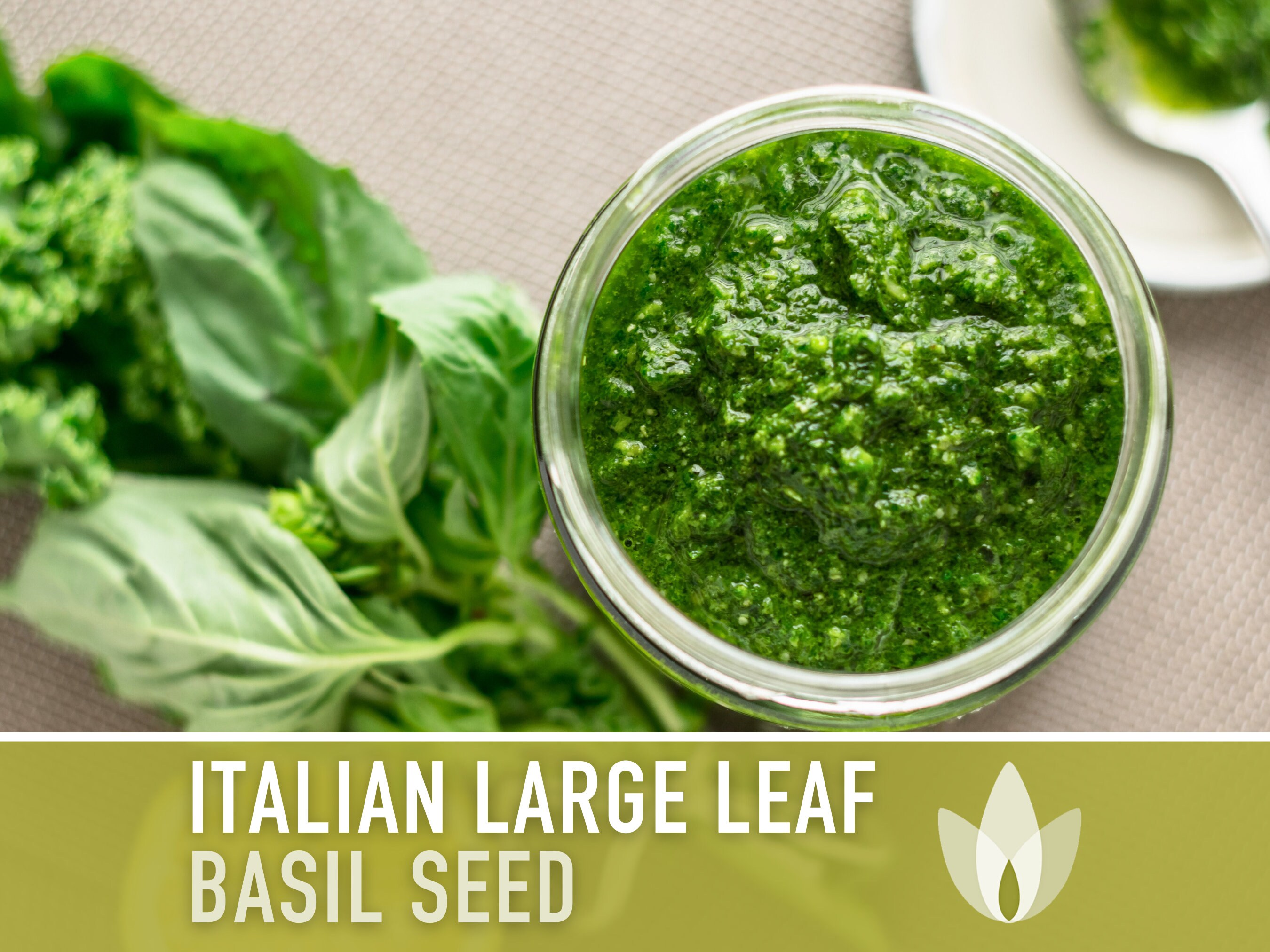 Italian Large Leaf Basil Heirloom Herb Seeds - Non-gmo, Open Pollinated ...
