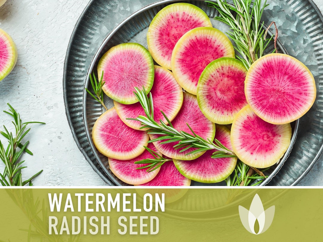 Watermelon Radish Seeds