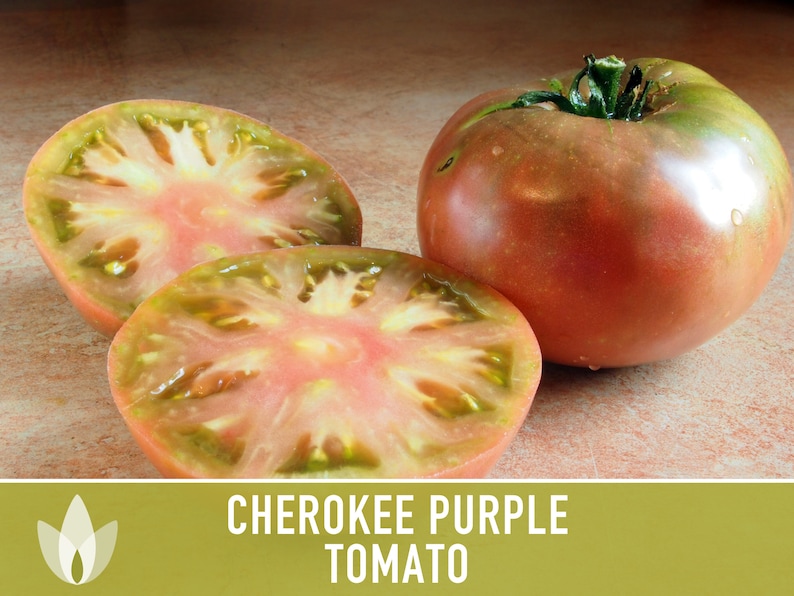 Cherokee Purple Tomato Heirloom Seeds - Etsy