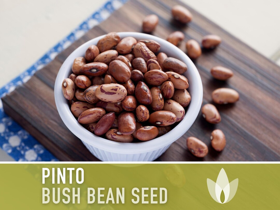 Pinto Bean Seeds - Heirloom Seeds, Runner Bean Seeds, Refried Beans ...