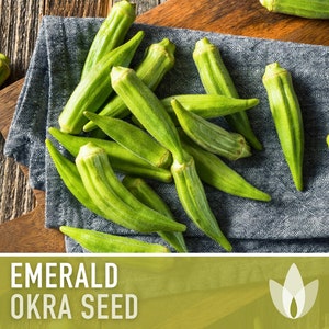 Emerald Green Velvet Okra Seeds - Heirloom Seeds, Open Pollinated ...