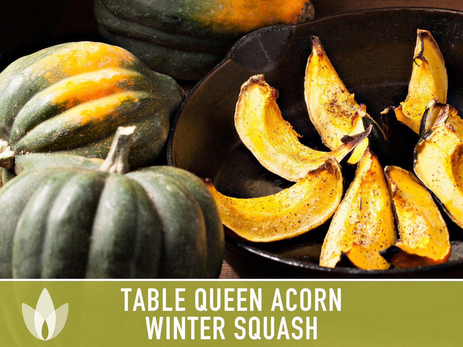 Table Queen Acorn Winter Squash Heirloom Seeds Short Season - Etsy