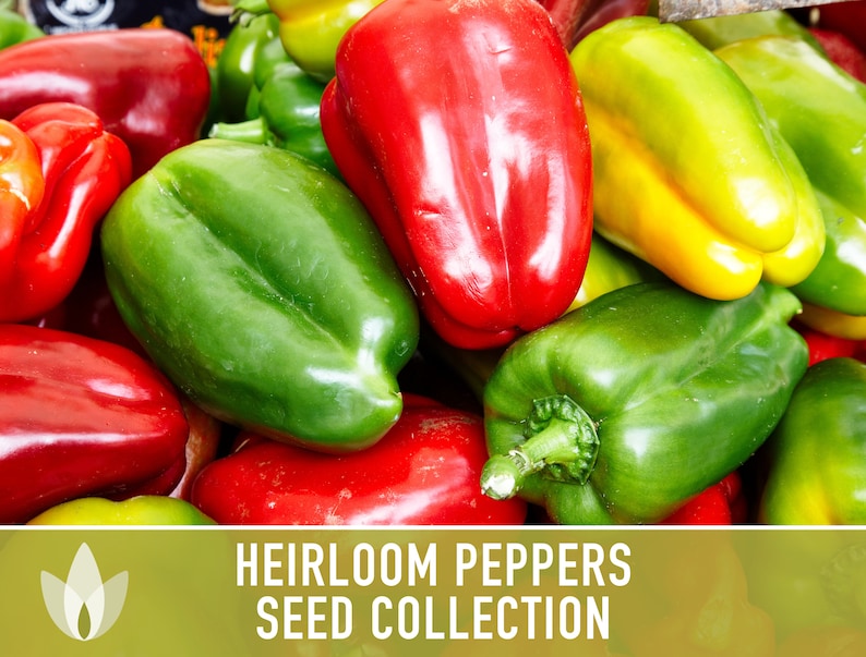Heirloom Hot & Sweet Pepper Seed Collection – 10 Varieties, Gardening ...