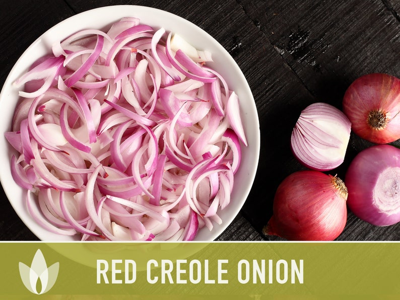 Red Creole Onion Heirloom Seeds - Short Day, Open Pollinated, Non-gmo ...