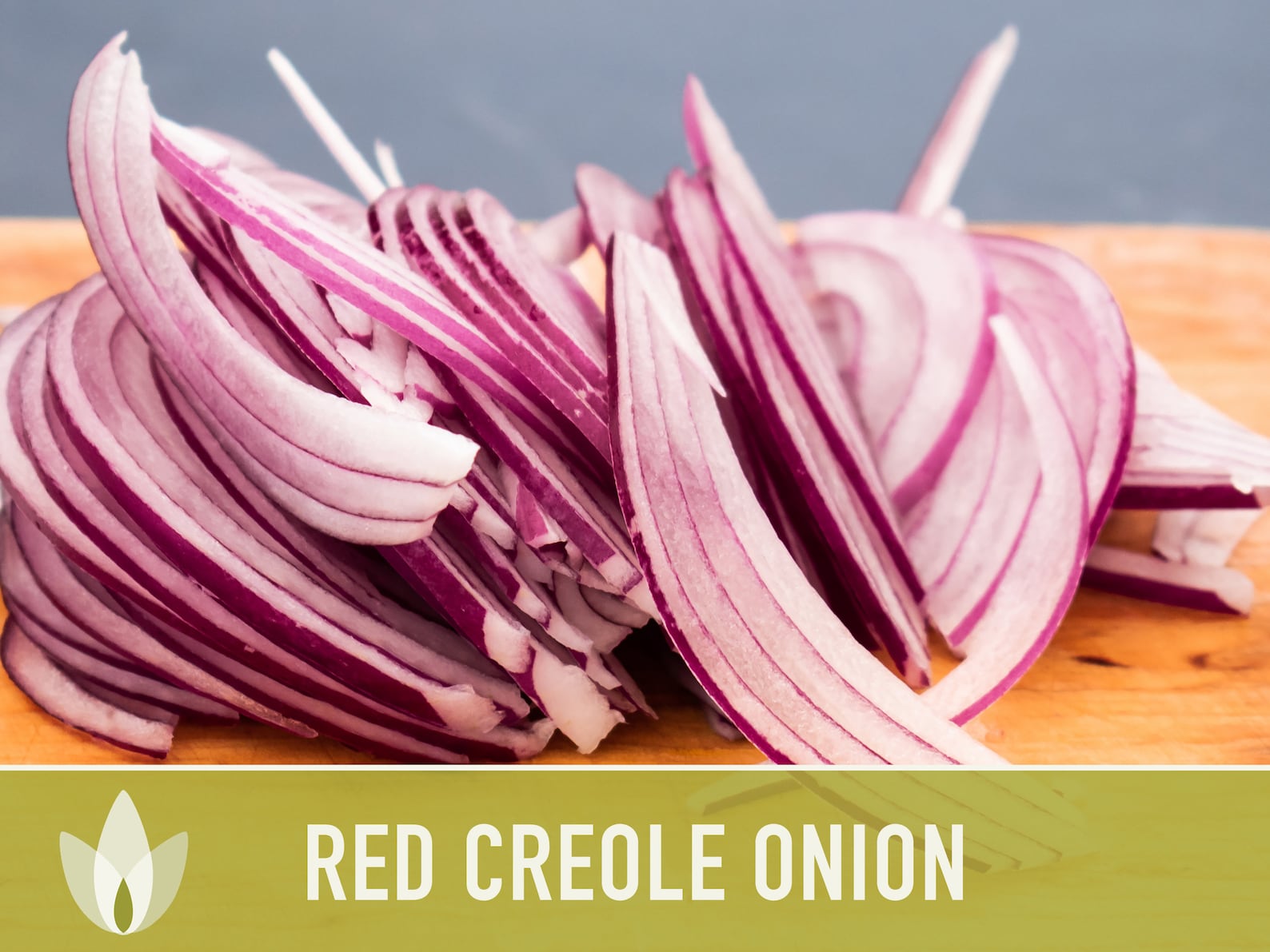 Red Creole Onion Heirloom Seeds Short Day Open Pollinated - Etsy
