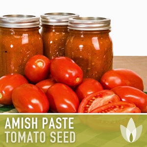 Amish Paste Tomato - 30 Seeds - Heirloom Tomato, Large Paste Tomato, Sauce Tomato, Plum Tomato ...