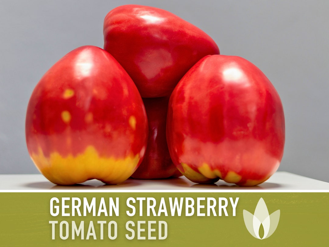 German Red Strawberry Tomato Seeds - Heirloom, Oxheart Tomato, German ...