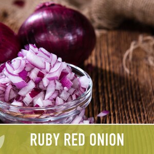 Ruby Red Onion Heirloom Seeds - Etsy