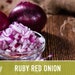 Ruby Red Onion Heirloom Seeds - Etsy