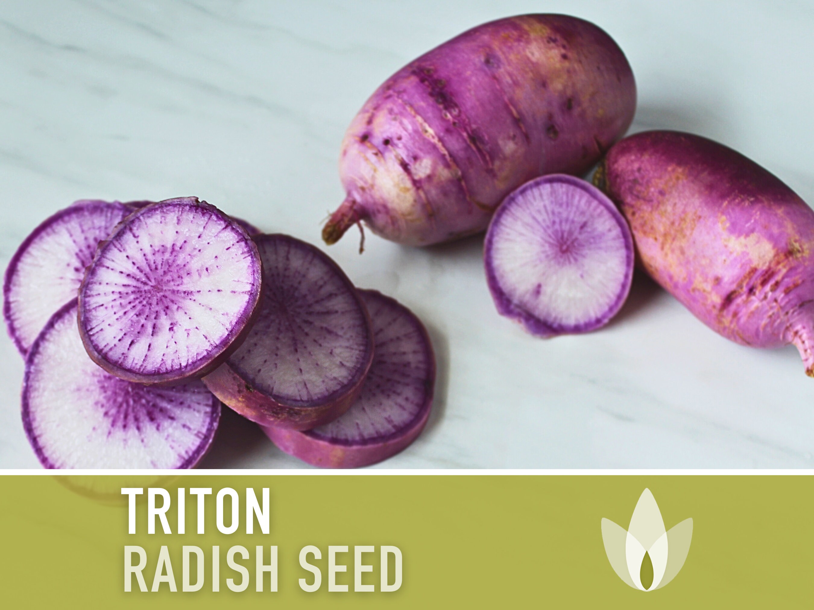 Triton Purple Daikon Radish Seeds - Heirloom, Non-gmo - Etsy